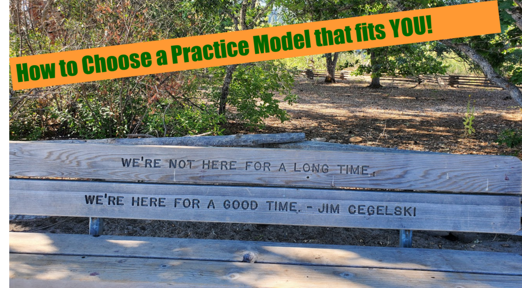 How to Choose the Best Practice Model for YOU! - Smart ND Biz